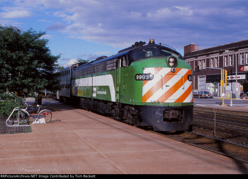 Jiding in the bushes